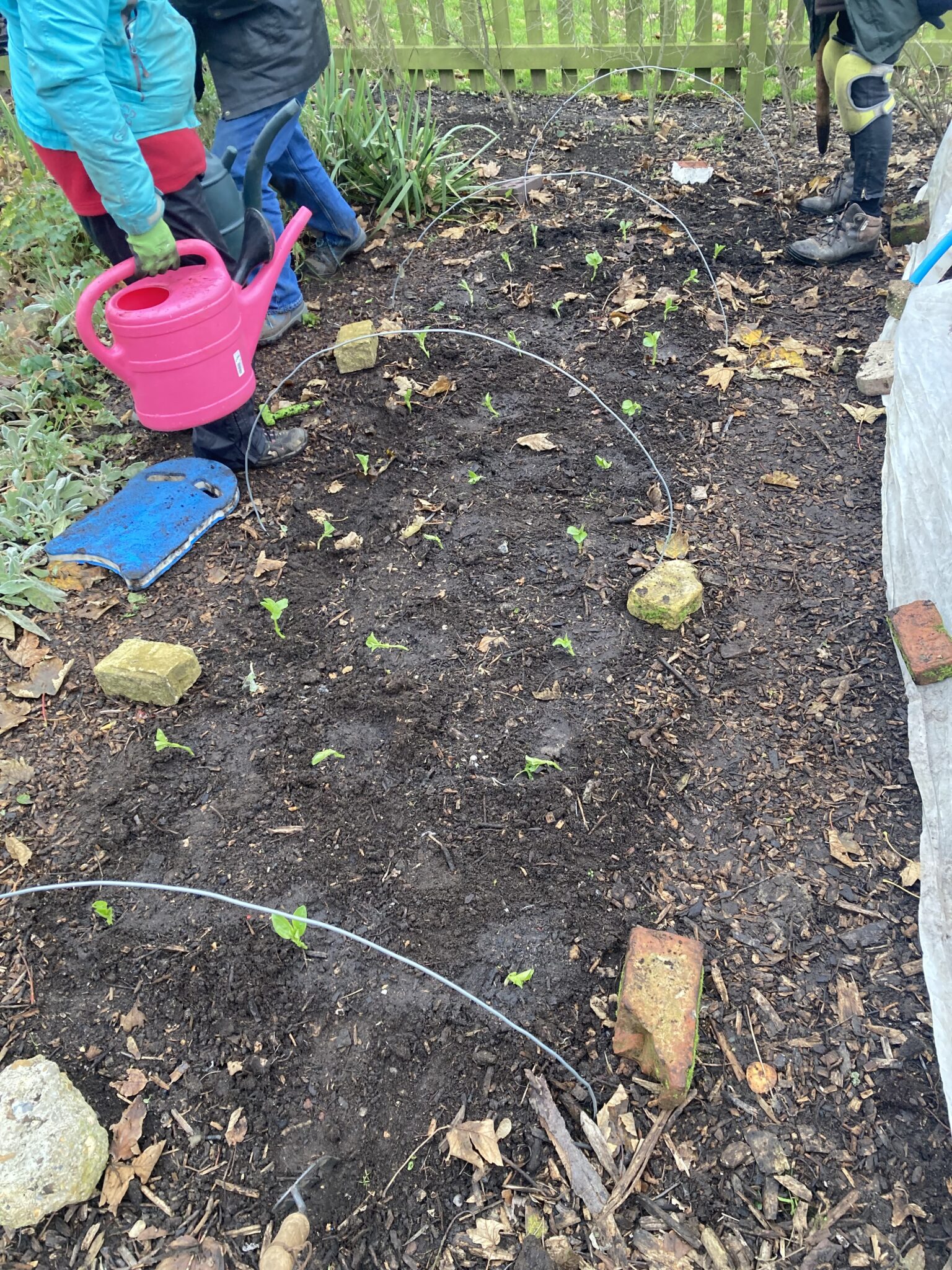 Sandgate Community Garden: Update 8th December 2024 - Sandgate Parish ...