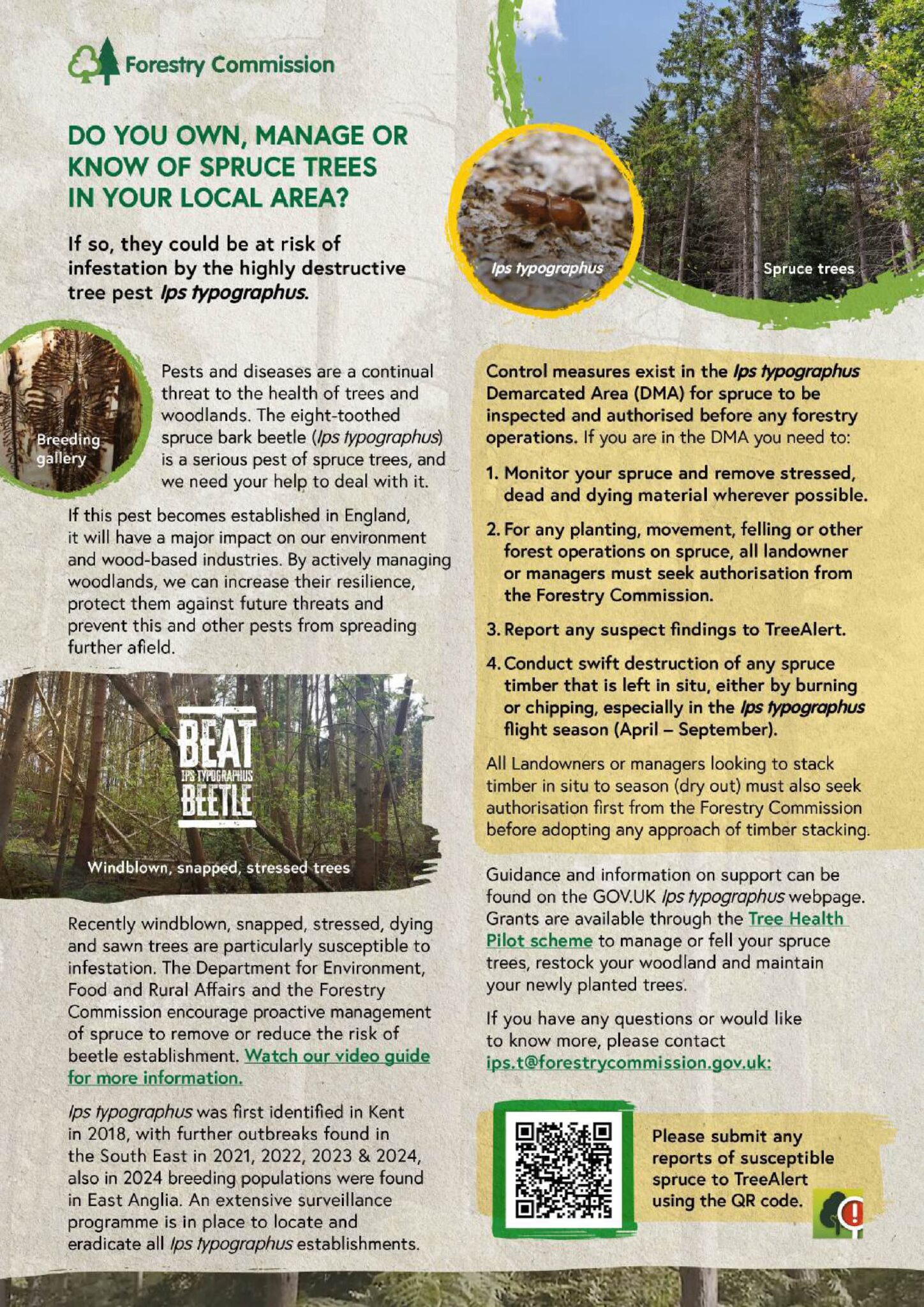 Invasive Spruce Bark Beetle Awareness - Sandgate Parish Council