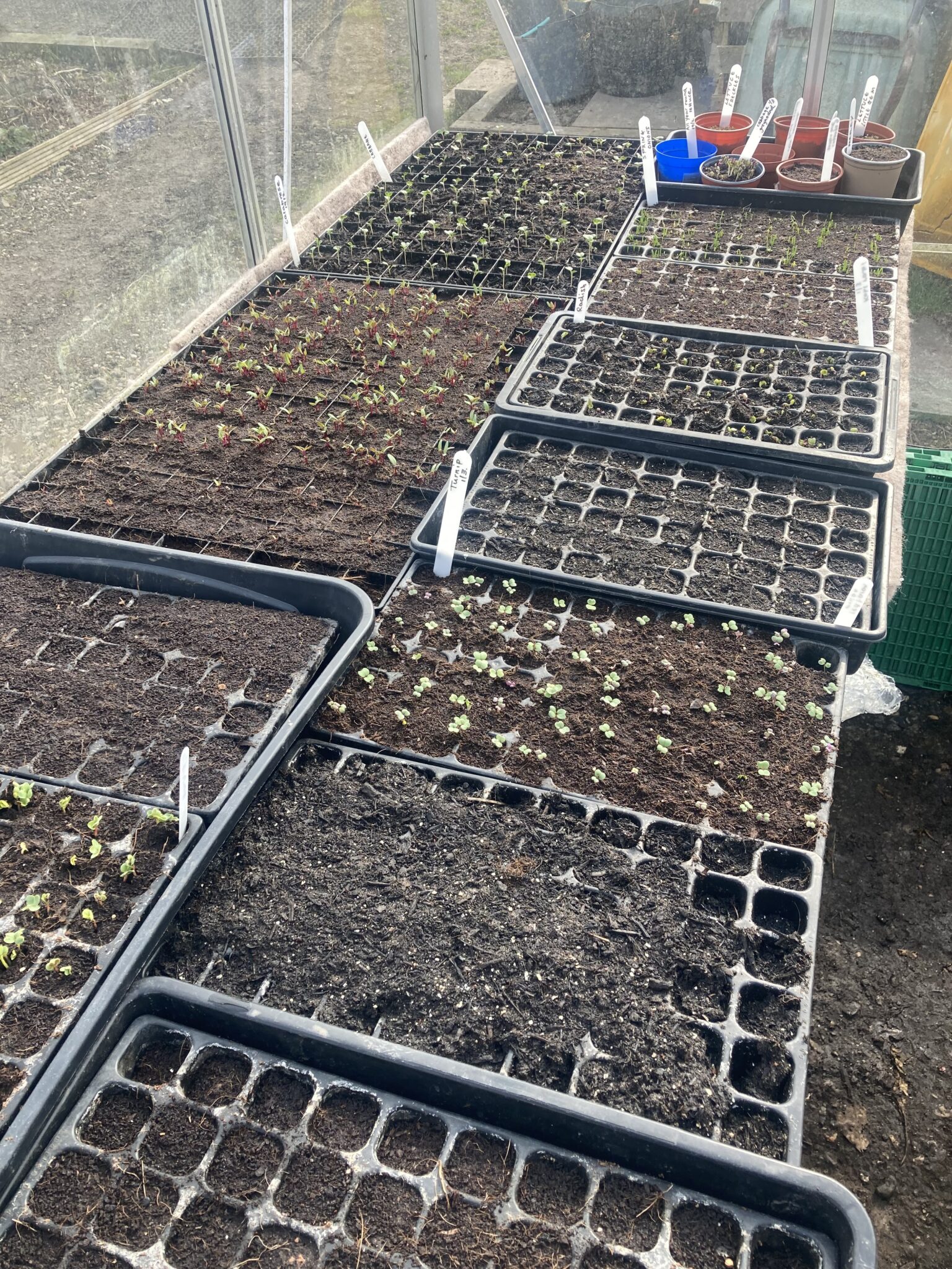 Sandgate Community Garden: Update 16th March 2025 - Sandgate Parish Council